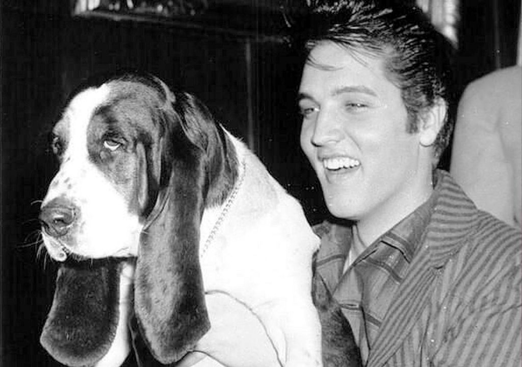 Elvis Presley - Hound Dog - OldiesClassic